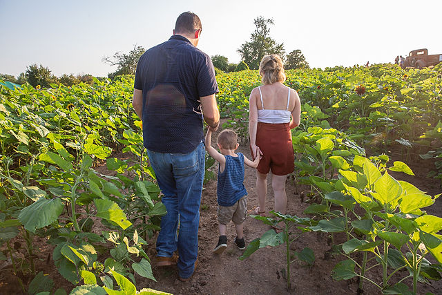 What Does it Take to Keep High-Risk Families Together? Follow the Money